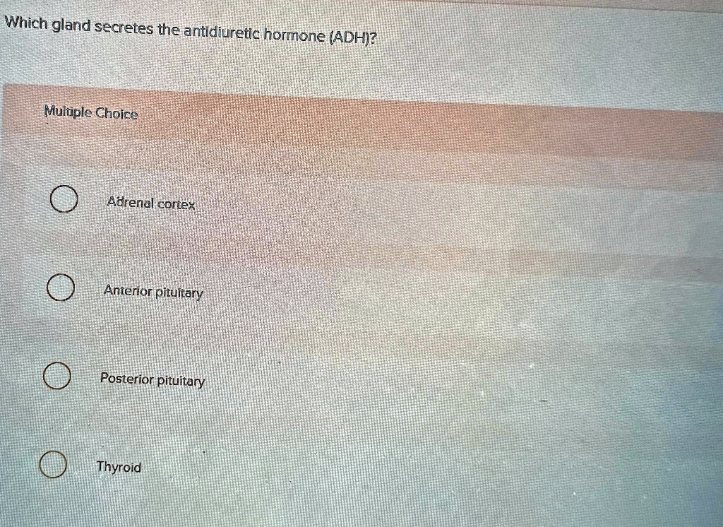 which gland secretes the antidiuretic hormone adh multiple choice ...