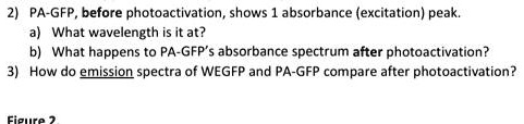 pa gfp before photoactivation shows bsorbance excitation peak what ...