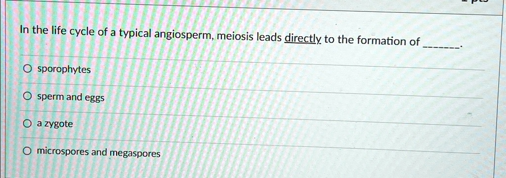 In the life cycle of a typical angiosperm, meiosis leads directly to ...