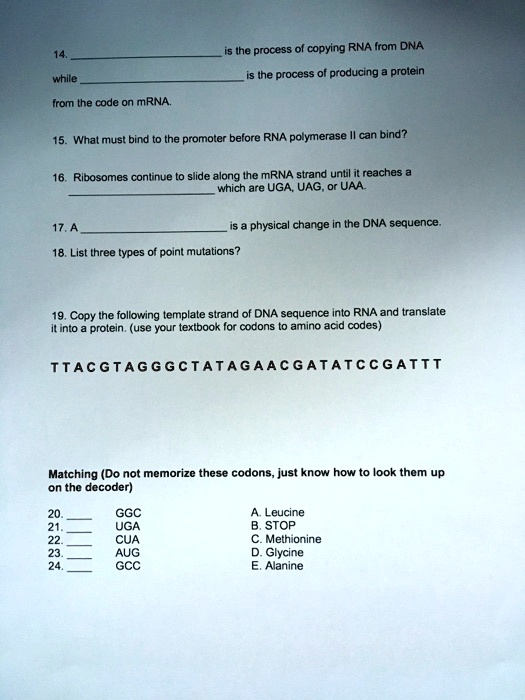 SOLVED:Droclss- copying RNA Irom DNA the process of producing protein ...