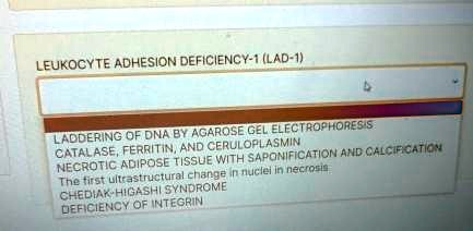 LEUKOCYTE ADHESION DEFICIENCY-1 (LAD-1) LADDERING OF DNA BY AGAROSE GEL ...