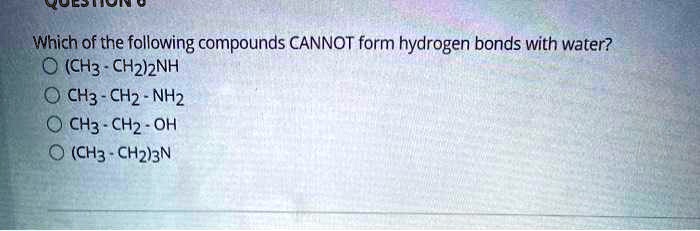 SOLVED: Which of the following compounds CANNOT form hydrogen bonds ...