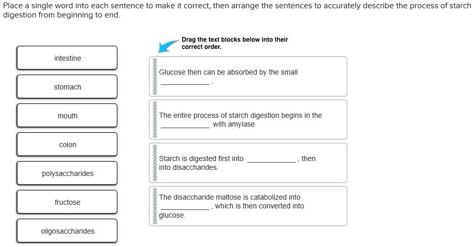 Place a single word into each sentence to make it correct, then arrange ...