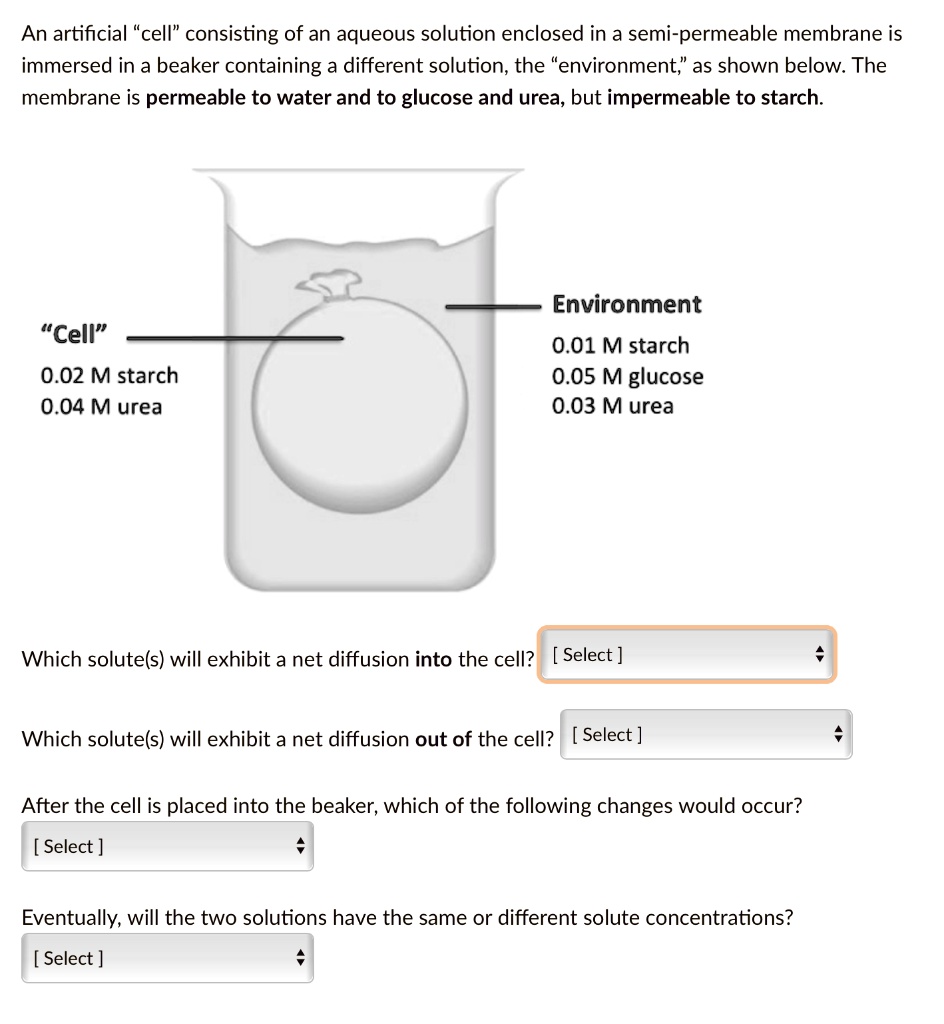 SOLVED: An artificial "cell" consisting of an aqueous solution enclosed ...