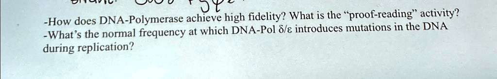 SOLVED: -How does DNA-Polymerase achieve high fidelity? What is the ...