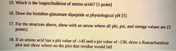 SOLVED: 15. Which is the largest bulkiest of amino acids? [1 point] 16 ...