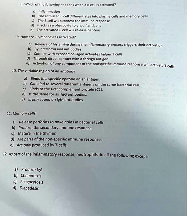 SOLVED: 8. Which of the following happens when a B cell is activated? a ...