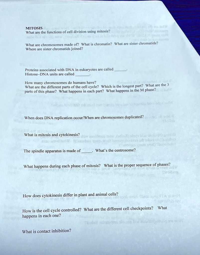 SOLVED: MITOSIS: What are the functions of cell division using mitosis ...