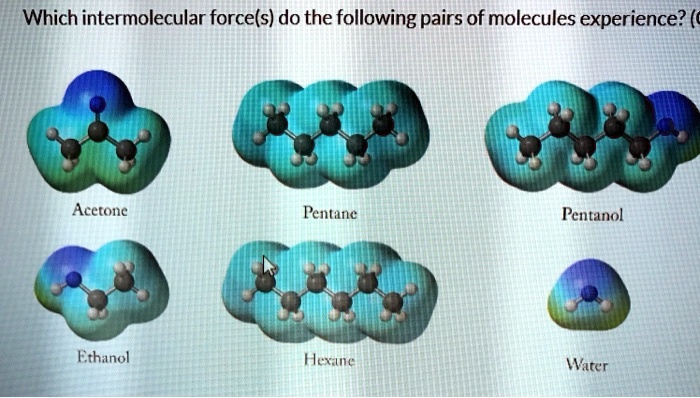 SOLVED: Which intermolecular forcels) do the following pairs of ...