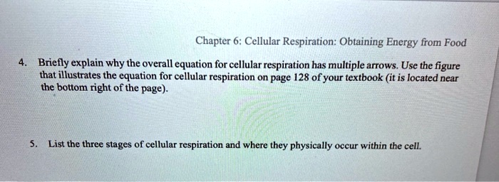 chapter 6 cellular respiration obtaining energy from food briefly ...