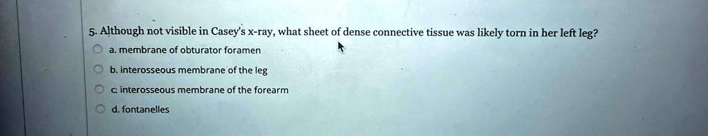 5. Although not visible in Casey's x-ray, what sheet of dense ...