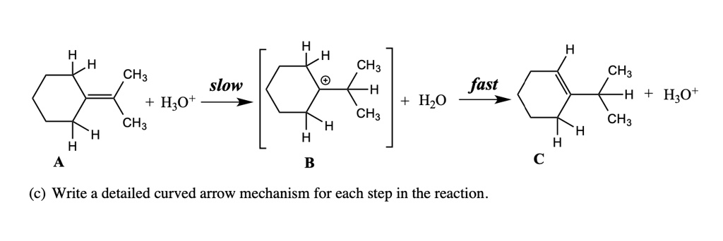 SOLVED: CH3 slow H2O fast H2O H2O CH3 CH3 Write a detailed curved arrow ...