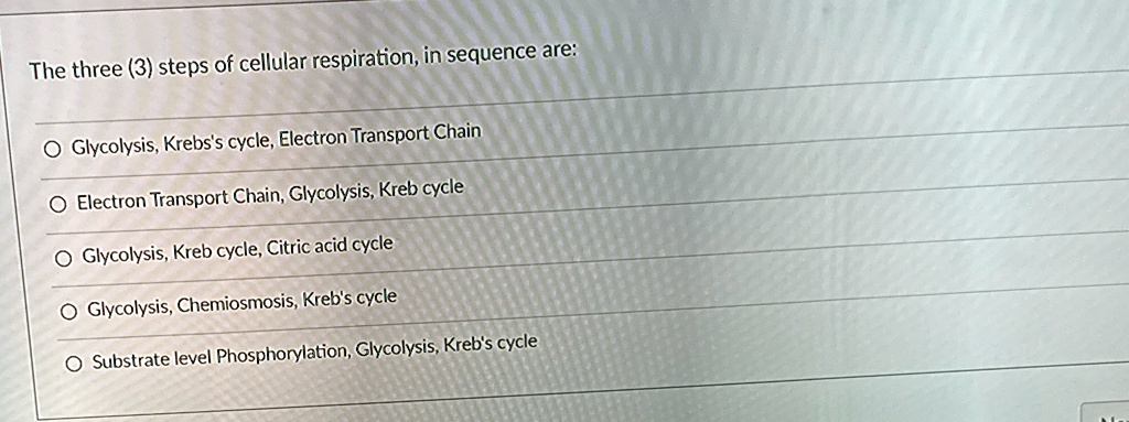 the three 3 steps of cellular respiration in sequence are o glycolysis ...