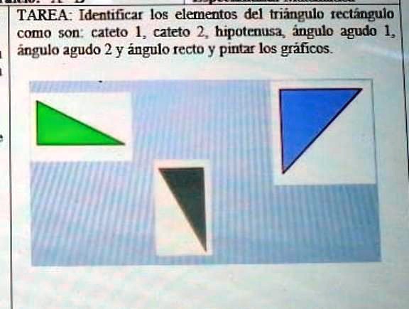 SOLVED: identificar los elementos de triangulos rectángulo como son ...