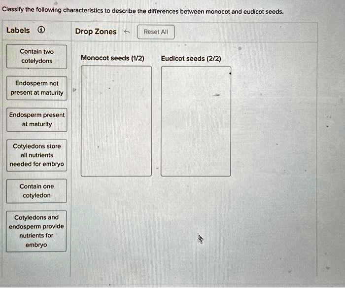 SOLVED: Classify the following characteristics to describe the differences between monocot and ...