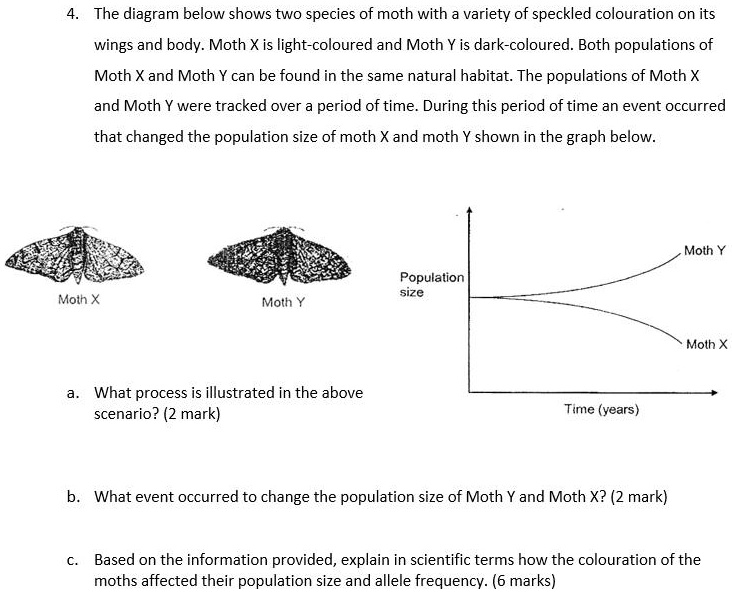 the diagram below shows two species of moth with variety of speckled ...