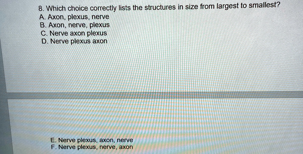 8 Which Choice Correctly Lists The Structures In Size From Largest To Smallest A Axon Plexus