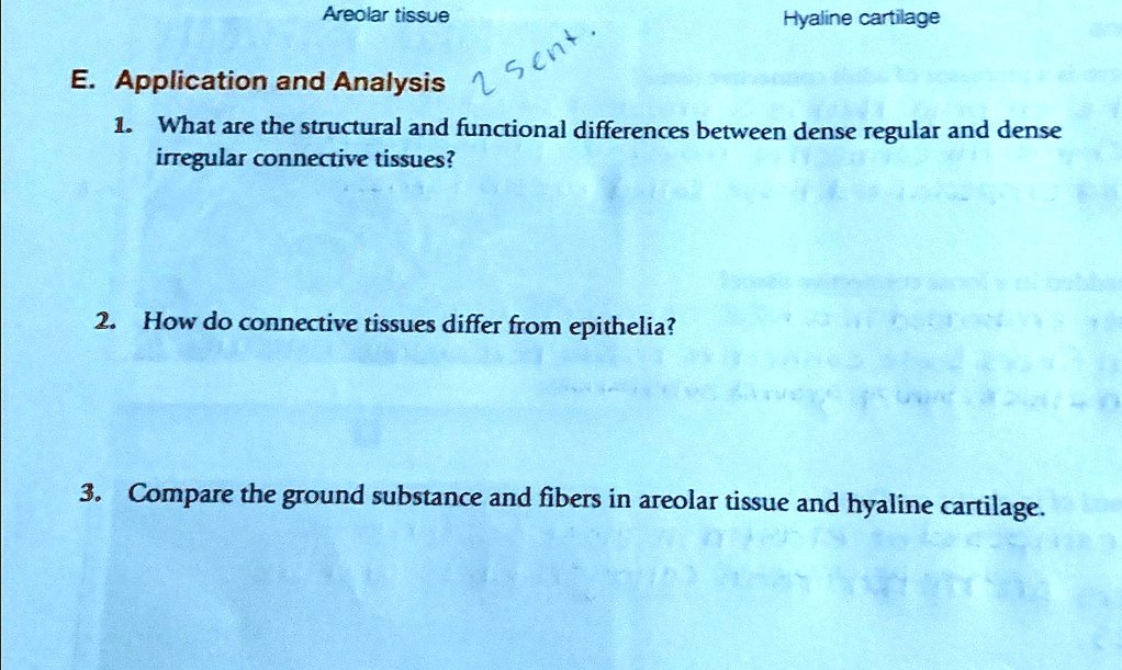 Areolar tissue E. Application and Analysis Hyaline cartilage 1. What ...