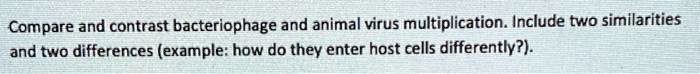 SOLVED: Compare and contrast bacteriophage and animal virus ...