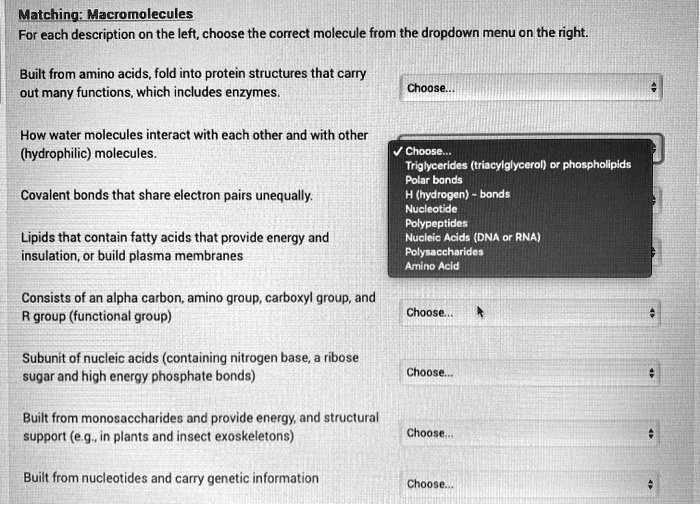 SOLVED: Matching: Macromolecules For each description on the left; choose the correct molecule ...