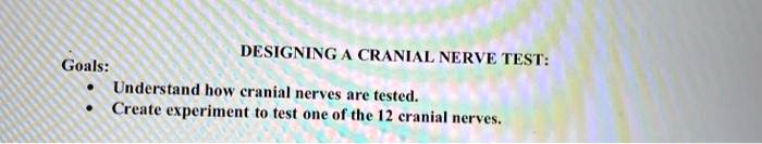 SOLVED: Designing a Cranial Nerve Test: Goals: Understand how cranial ...