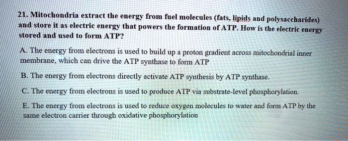 SOLVED: 21. Mitochondria extract the energy trom fuel molecules (fats ...
