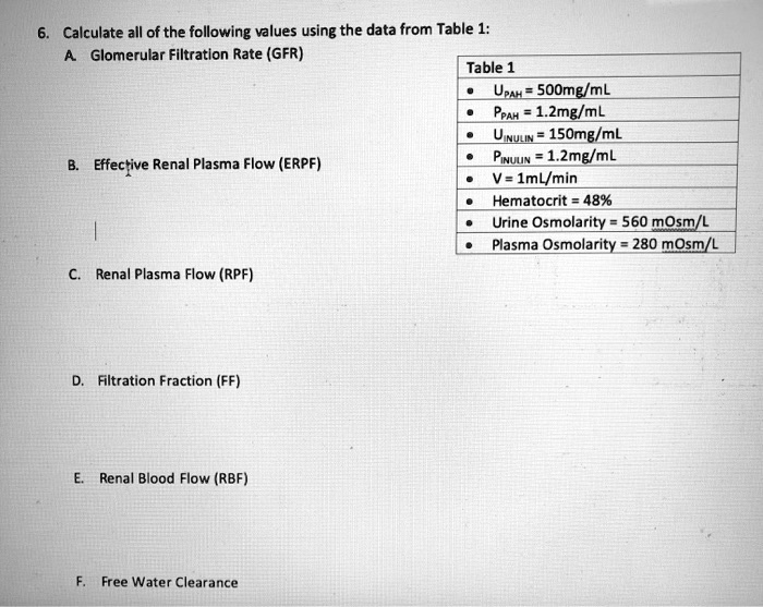 Renal Blood Flow Formula Hematocrit at Chris Colon blog
