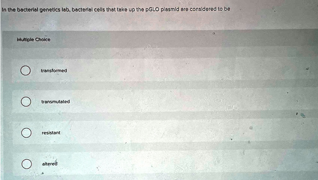 SOLVED: In the bacterial genetics lab, bacterial cells that take up the ...