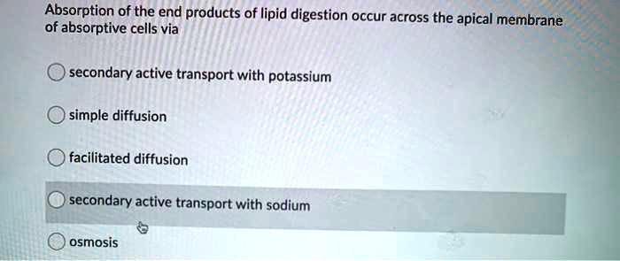 Absorption of the end products of lipid digestion occur across the ...