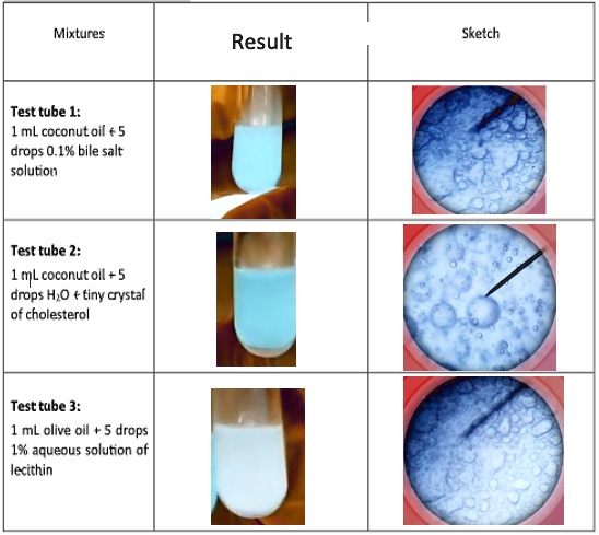SOLVED: EMULSIFICATION TEST FOR LIPIDS Questions: 1. What is the ...