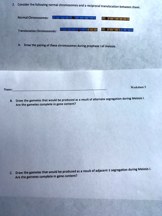 Consider the following normal chromosomes and reciprocal translocation ...