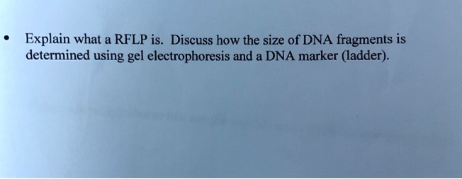 SOLVED: Explain what a RFLP is Discuss how the size of DNA fragments is determined using gel ...