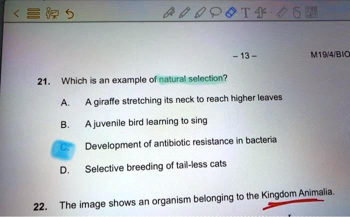 SOLVED: Text: 5 045 -13- M19/4/BIO 21. Which is an example of natural ...