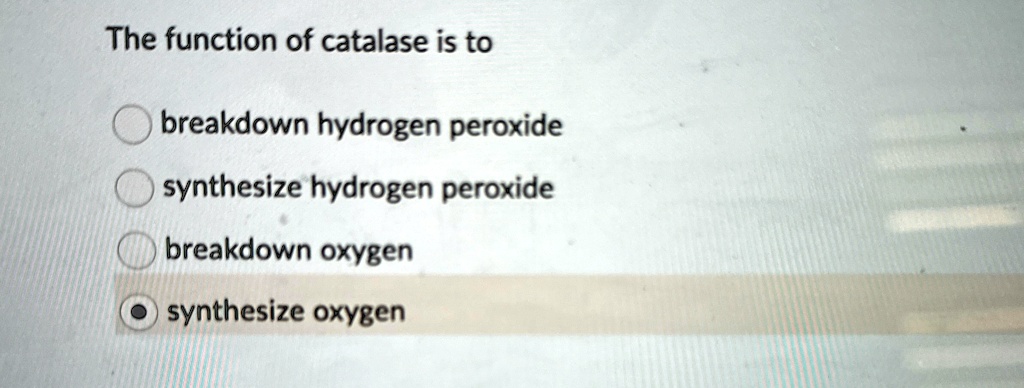 the function of catalase is to breakdown hydrogen peroxide synthesize ...