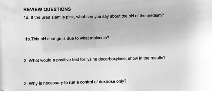 review questions ia if the urea slant is pink what can you say about ...