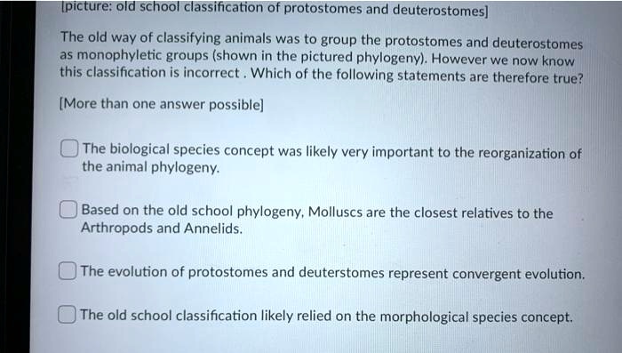 SOLVED: The old way of classifying animals was to group the protostomes ...