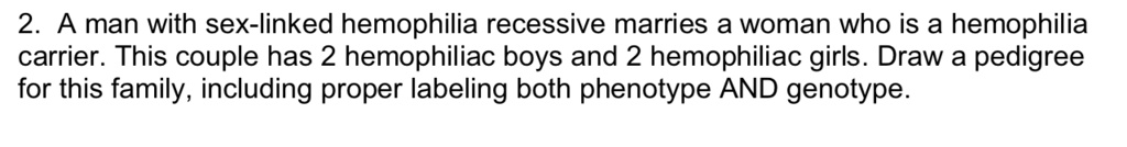 Solved 2 A Man With Sex Linked Hemophilia Recessive Marries A Woman