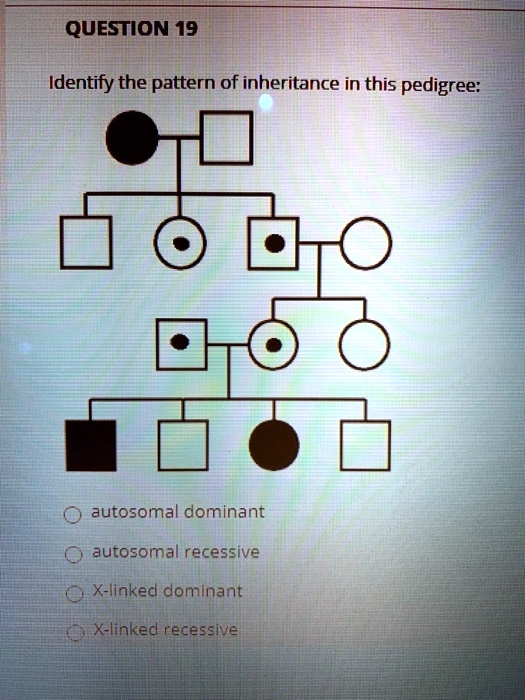 SOLVED: QUESTION 19 Identify the pattern of inheritance in this ... SOLVED: QUESTION 19 Identify the pattern of inheritance in this ...