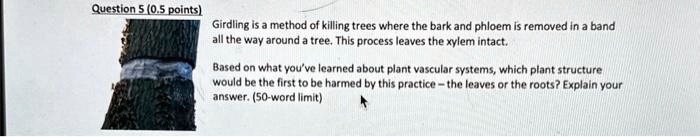 SOLVED: Question 5 (0.5 points): Girdling is a method of killing trees ...