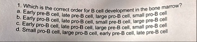 1 which is the correct order for b cell development in the...