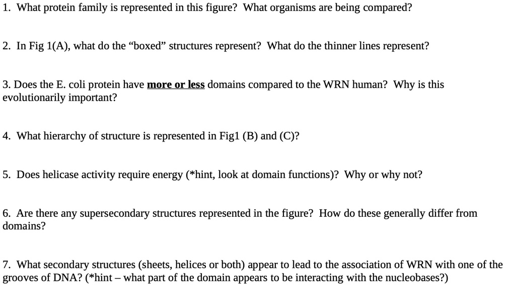 SOLVED: What protein family is represented in this figure? What organisms are being compared? In ...