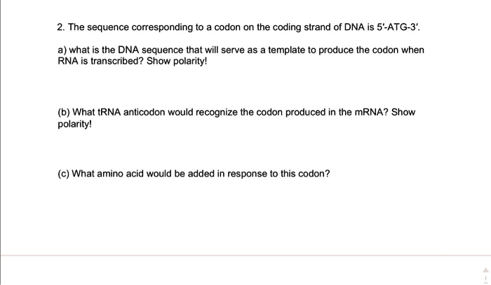 2. The sequence corresponding to a codon on the coding strand of DNA is ...