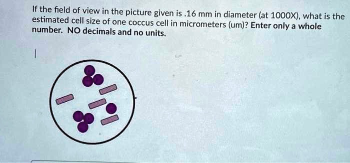 SOLVED: The field of view in the picture given is 16 mm in diameter (at ...