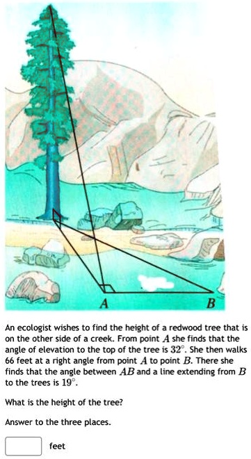 SOLVED: An ecologist wishes to find the height of a redwood tree that ...
