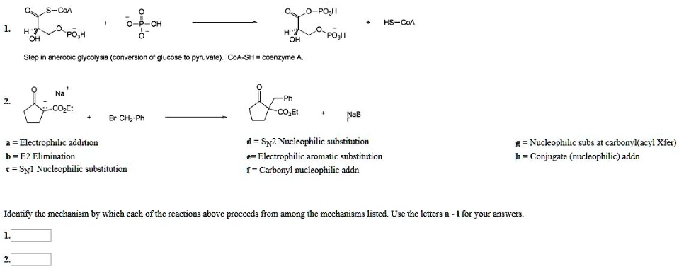 SOLVED: Co4 PO,H CoA PO;H POsH Step anerobic glycolysis (conversion ol ...