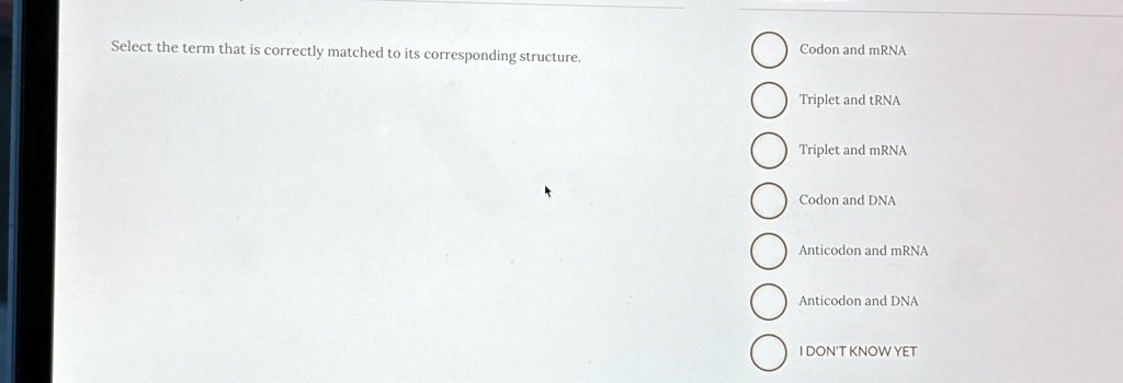 select the term that is correctly matched to its corresponding ...
