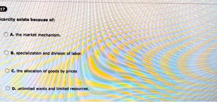 17 Scarcity exists because of: A. the market mechanism. B ...