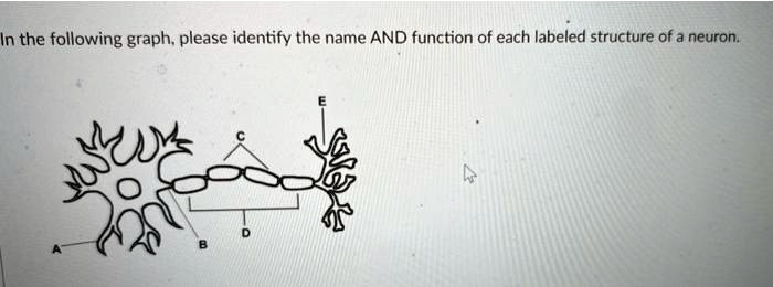 In the following graph, please identify the name AND function of each ...