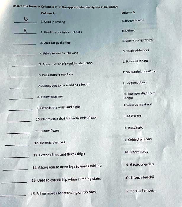 SOLVED: Match the terms in Column B with the appropriate description in ...