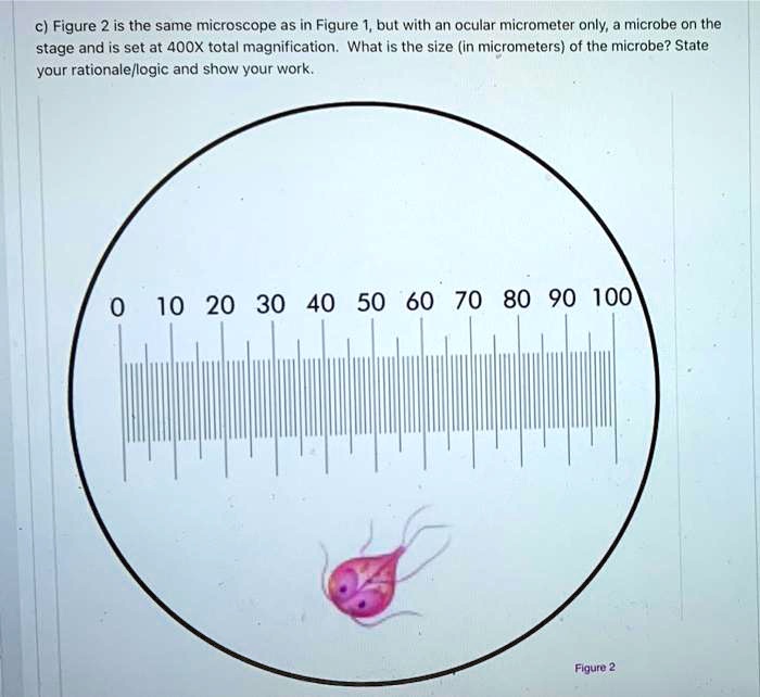 SOLVED: Figure 2 is the same microscope as in Figure 1 but with an ...